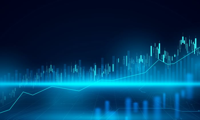 The Crucial Role of Disclosure Committees for Recently Public Companies ...