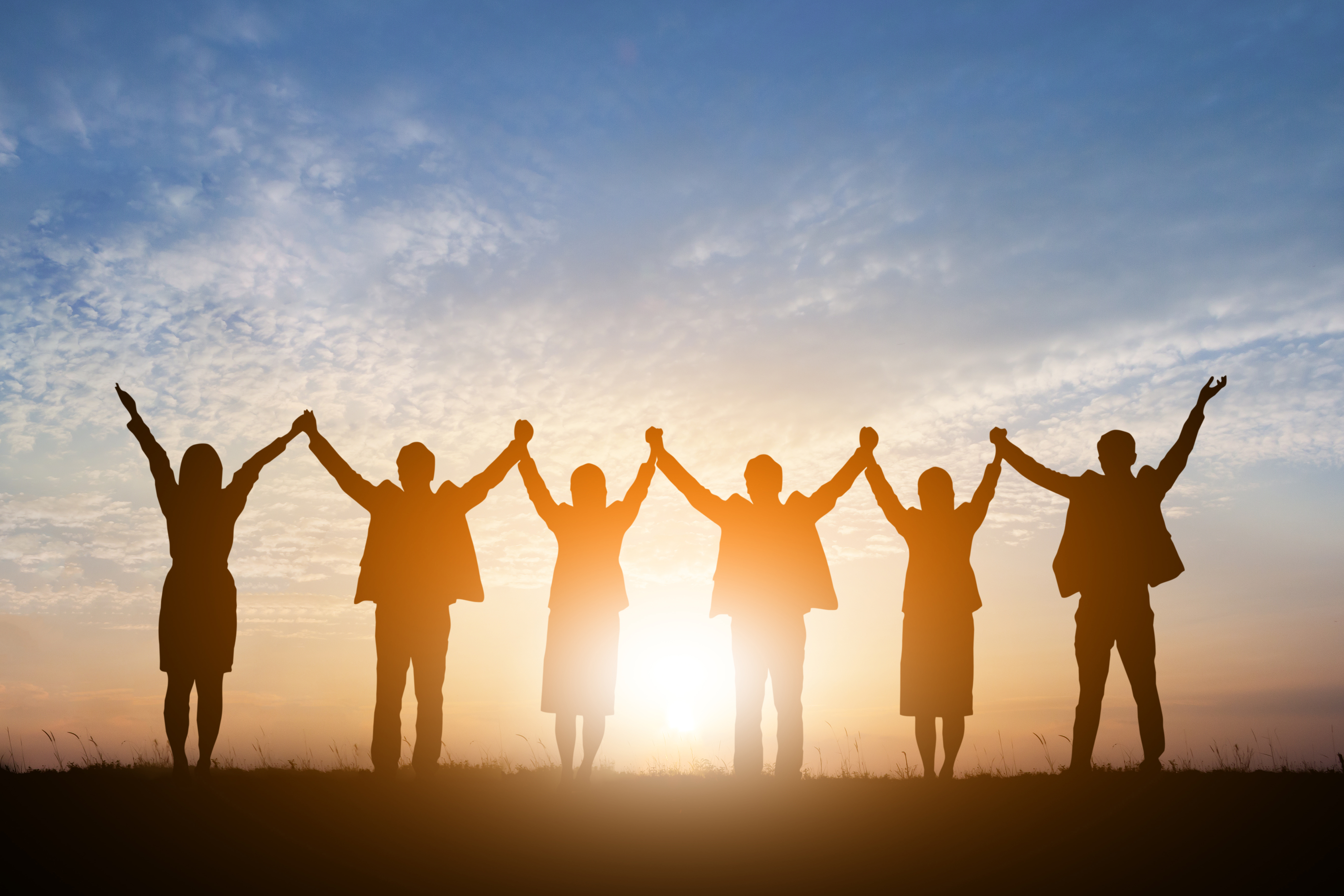 Stronger Together: The Power of the FEI Community - FEI